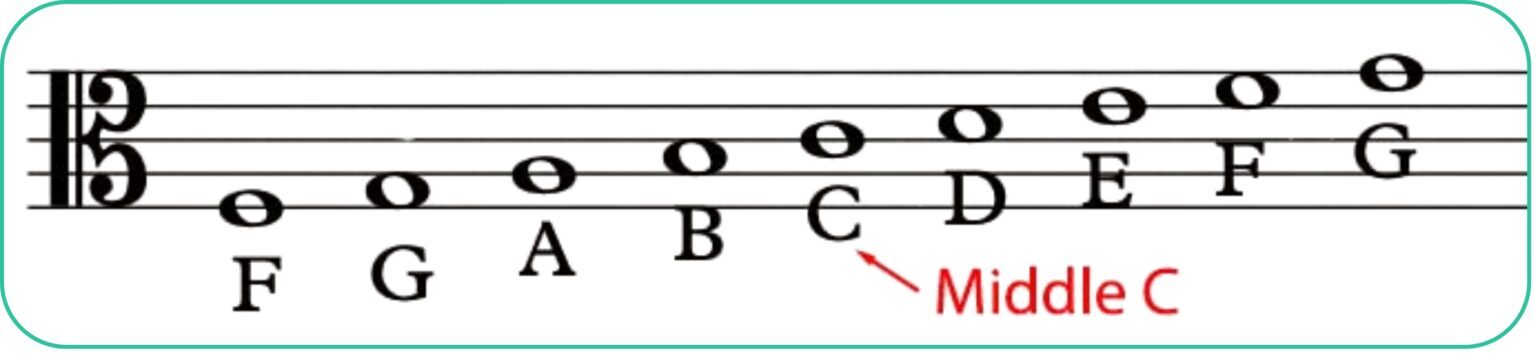 The basics of alto clef notes and notation | Skoove