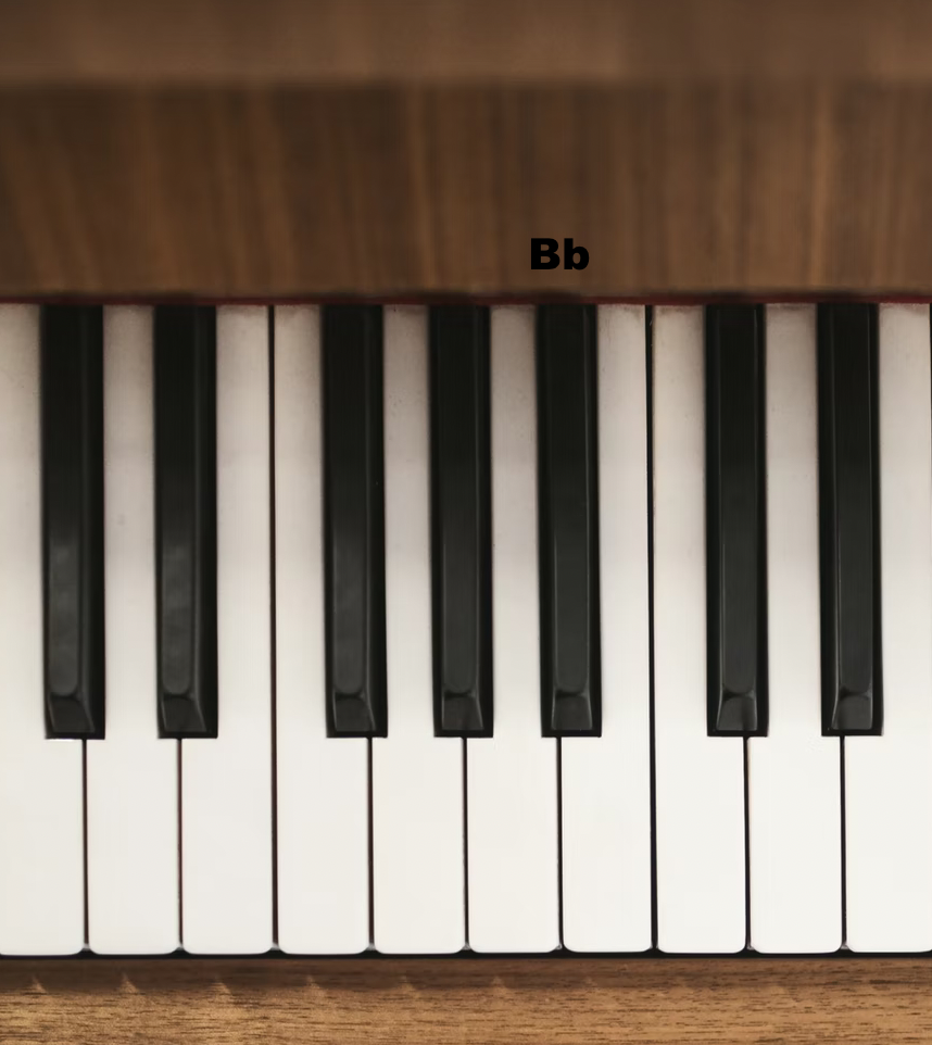 The beginner's guide to the F major scale on piano