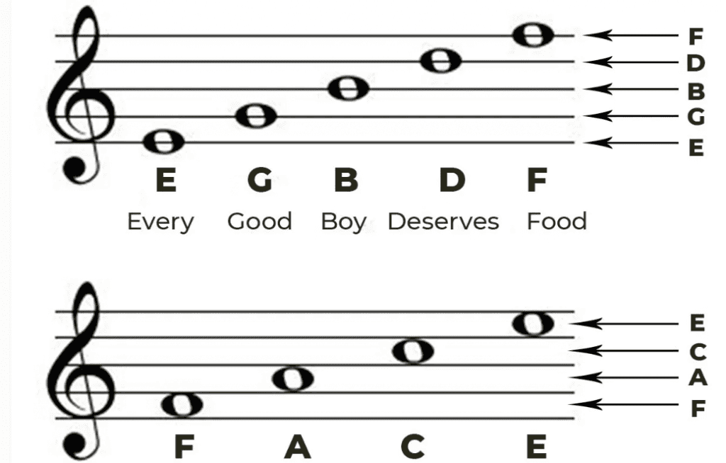 Piano notes: a beginner's guide to reading music