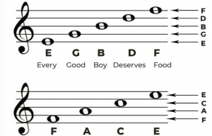 Note that the mnemonics start from the bottom and move upwards, and ...