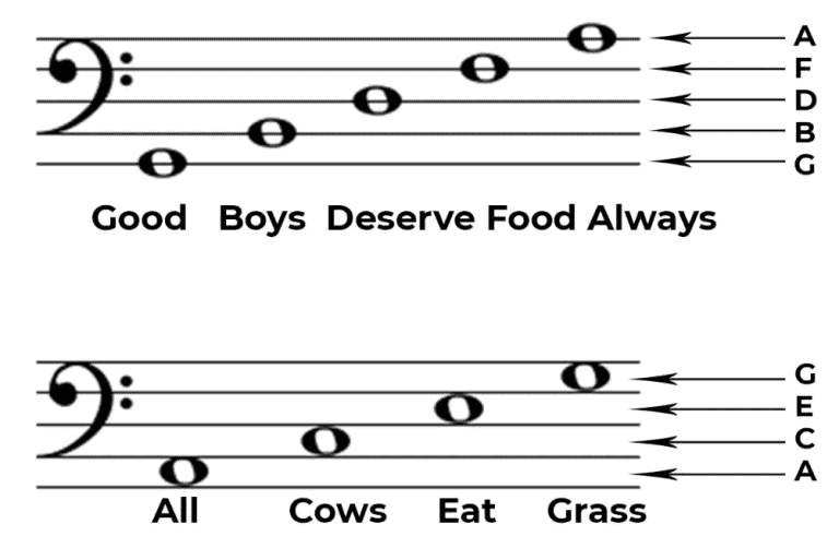 Piano notes: a beginner's guide to reading music