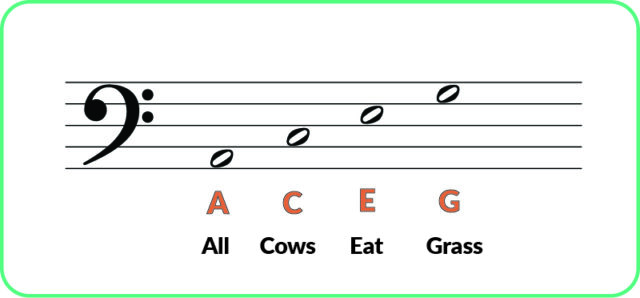 Piano notes: a beginner’s guide to reading music