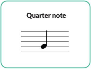 Learn quarter, half, and whole notes easily | Skoove