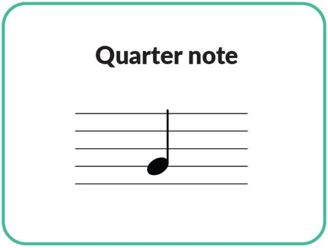 Learn quarter, half, and whole notes easily | Skoove