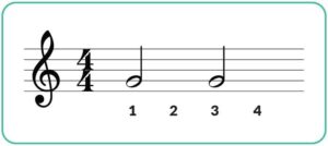 Learn quarter, half, and whole notes easily | Skoove