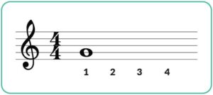 Learn quarter, half, and whole notes easily | Skoove