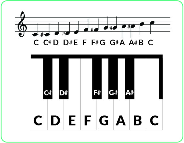 Piano notes: a beginner’s guide to reading music