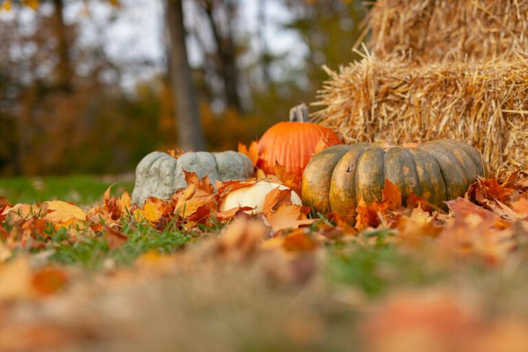 10 heartwarming Thanksgiving songs to play on piano | Skoove