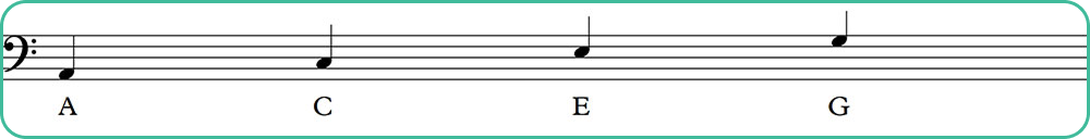 How to read sheet music for beginners | Skoove