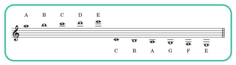 Understand treble clef notes in 5 minutes | Skoove
