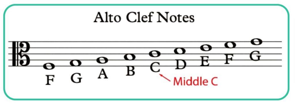 Alto clef notes explained for beginners | Skoove